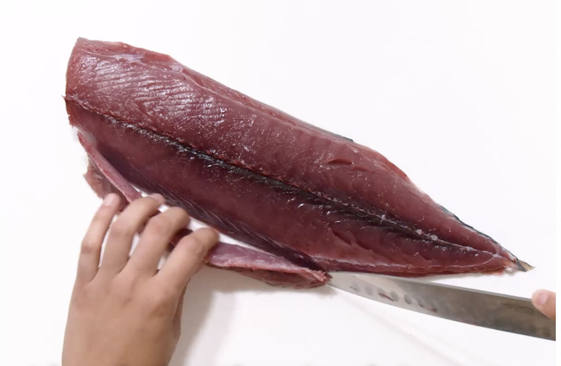 Pescado Buen Arte Don Caballito De Mar (Colección Eric Carle): Carle,